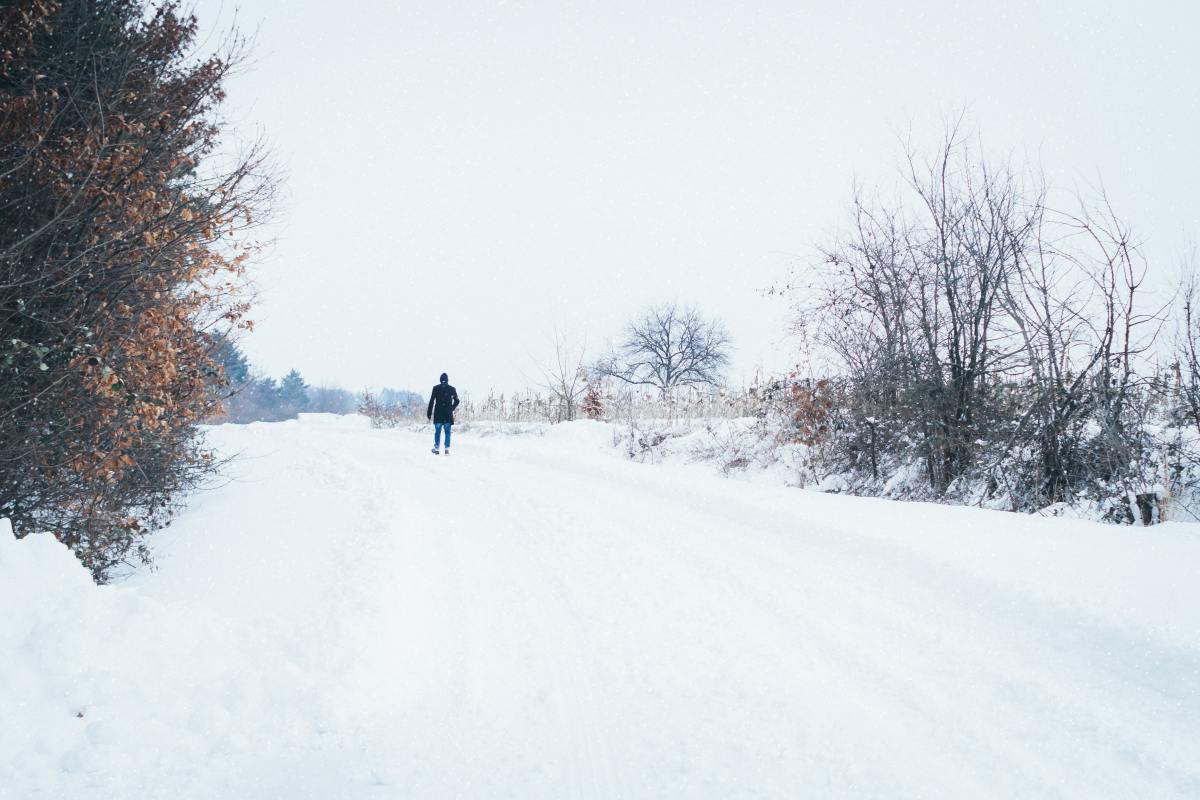 Going For a Walk | Jennifer Caswell